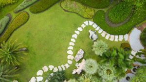 Landscaping Design 101: How to Plan a Beautiful and Functional ...